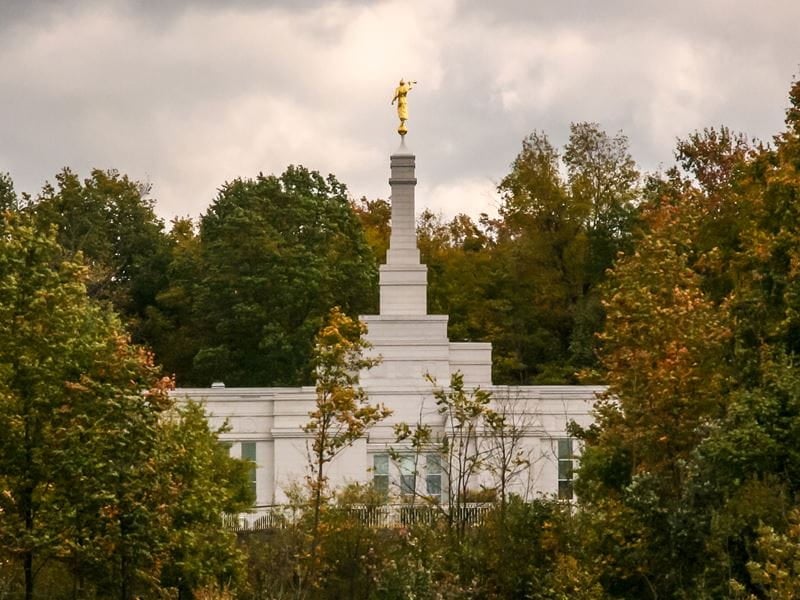 Sacred Grove